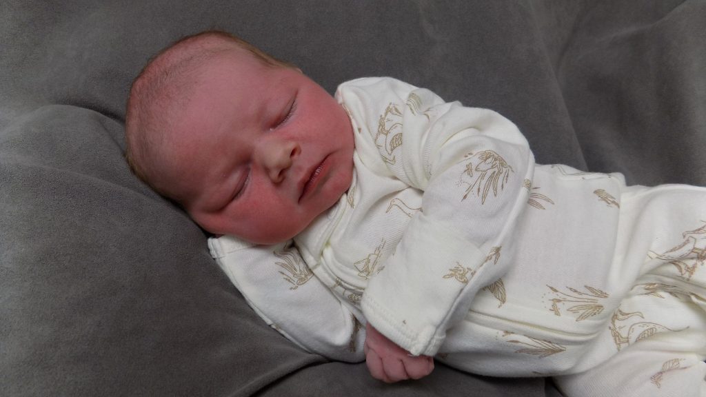 Andrew Daniel - PRMC